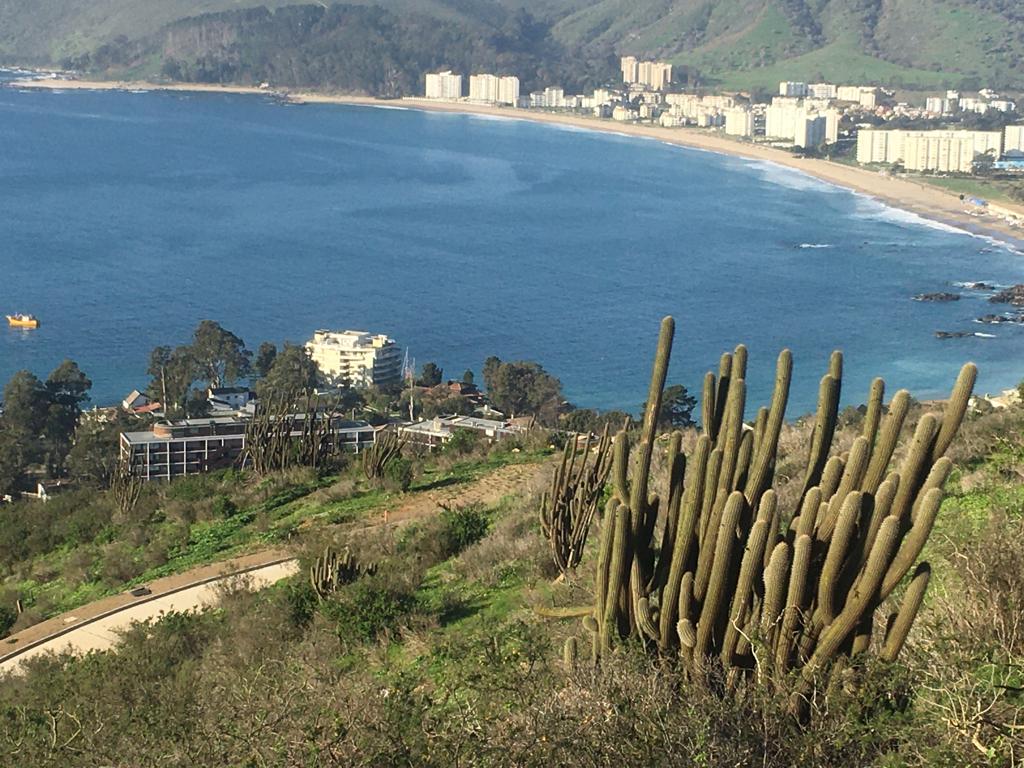 Sitio Mirador Punta Pite – Saenz Propiedades